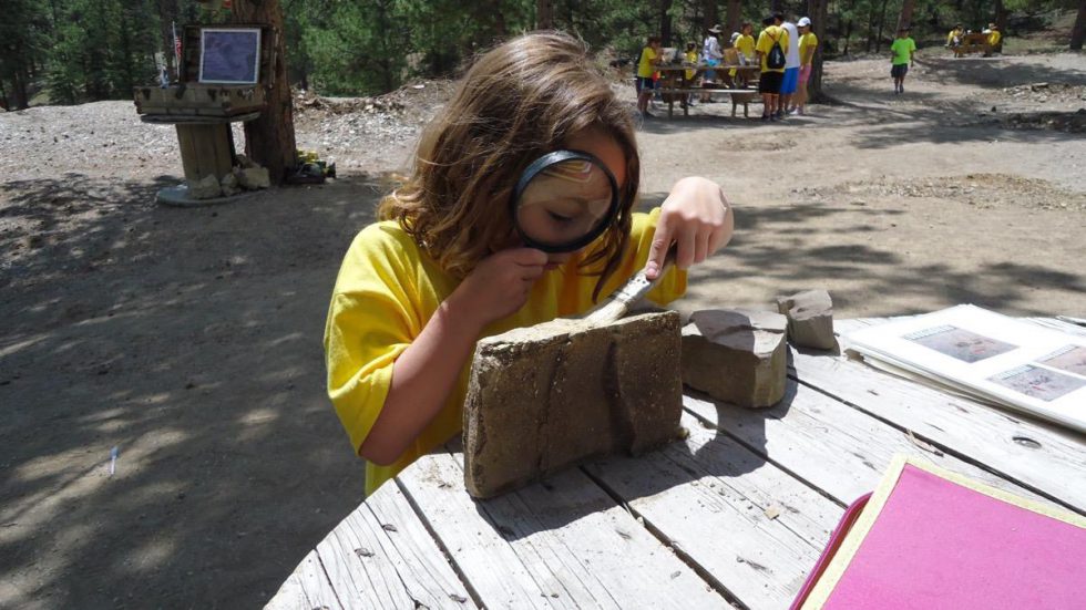 Fossil Hunting in Colorado, Florissant Fossil Quarry